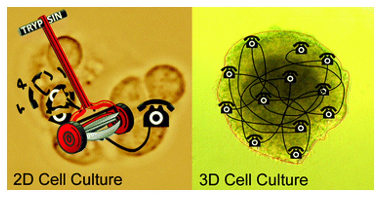 Experience the Technology behind the ClinoStar – Celvivo