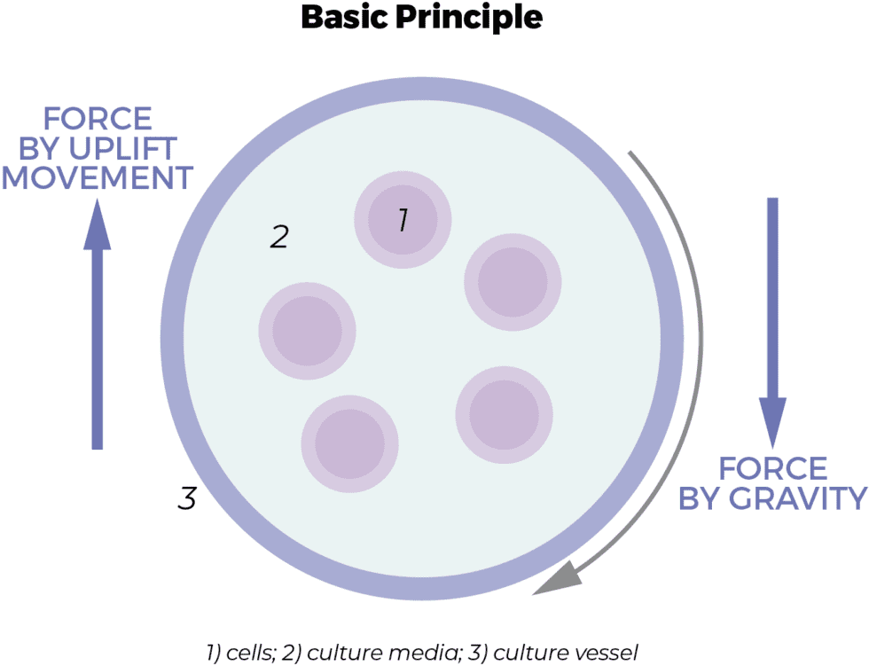 Experience the Technology behind the ClinoStar – Celvivo