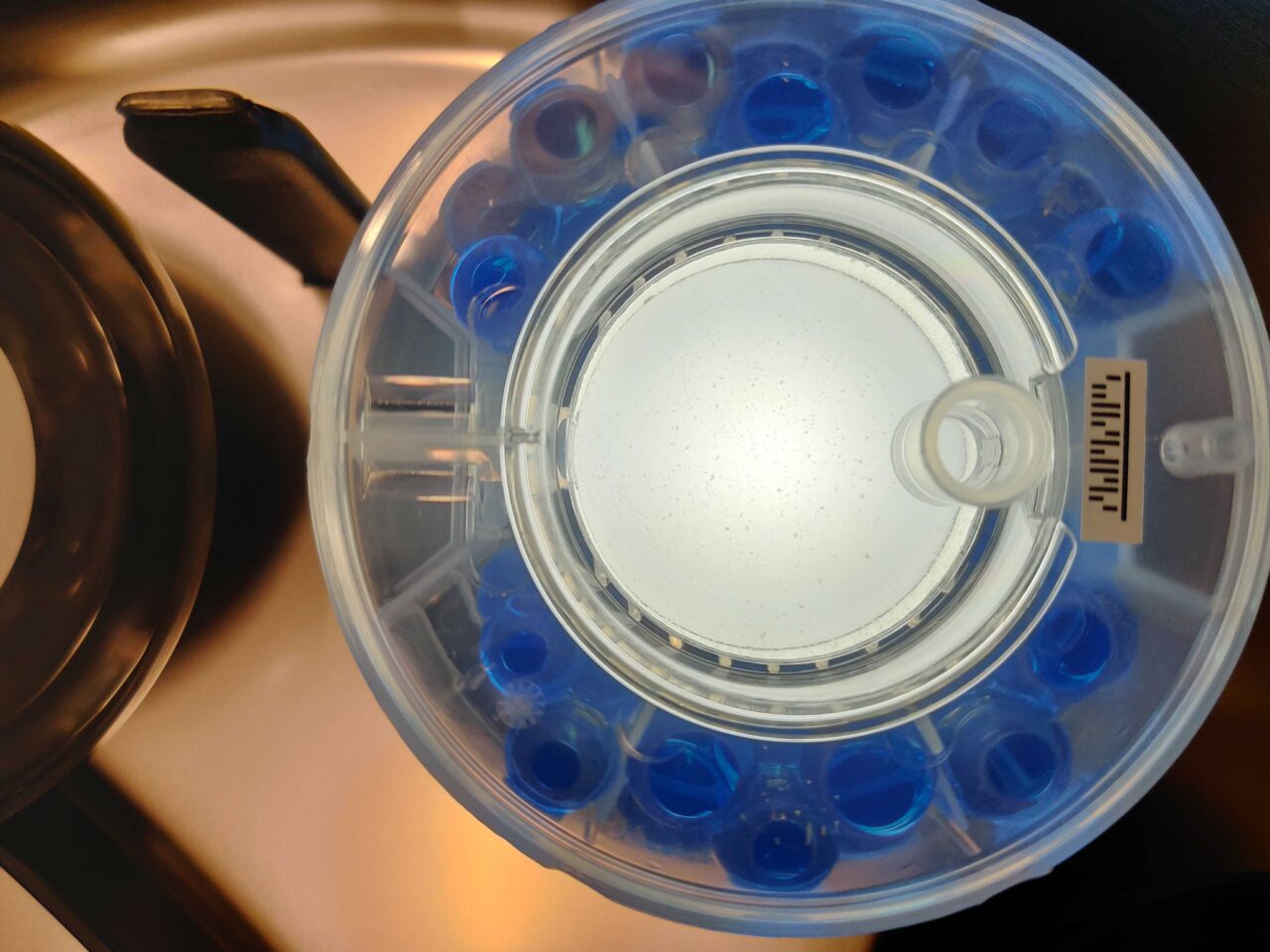 Work with liver cells in 3D cell culture – Celvivo