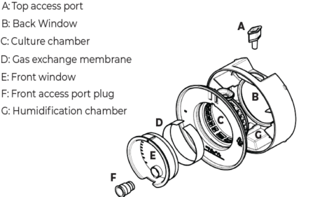 ClinoStar – Celvivo